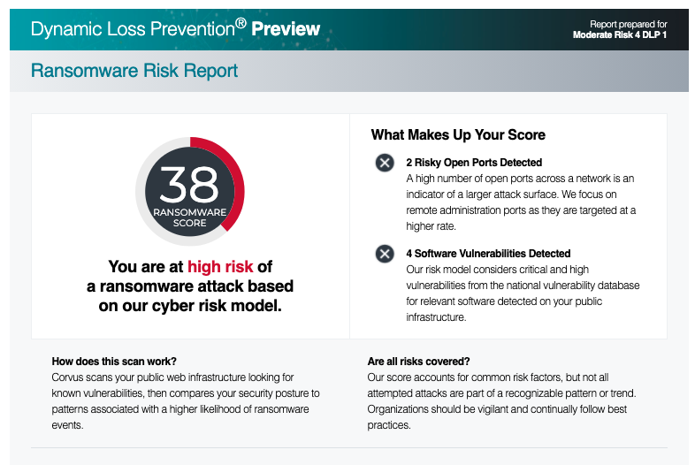 What is the Ransomware Risk Report?